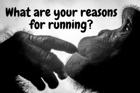 So You Want To Run For Mayor? Here's How To Get Started